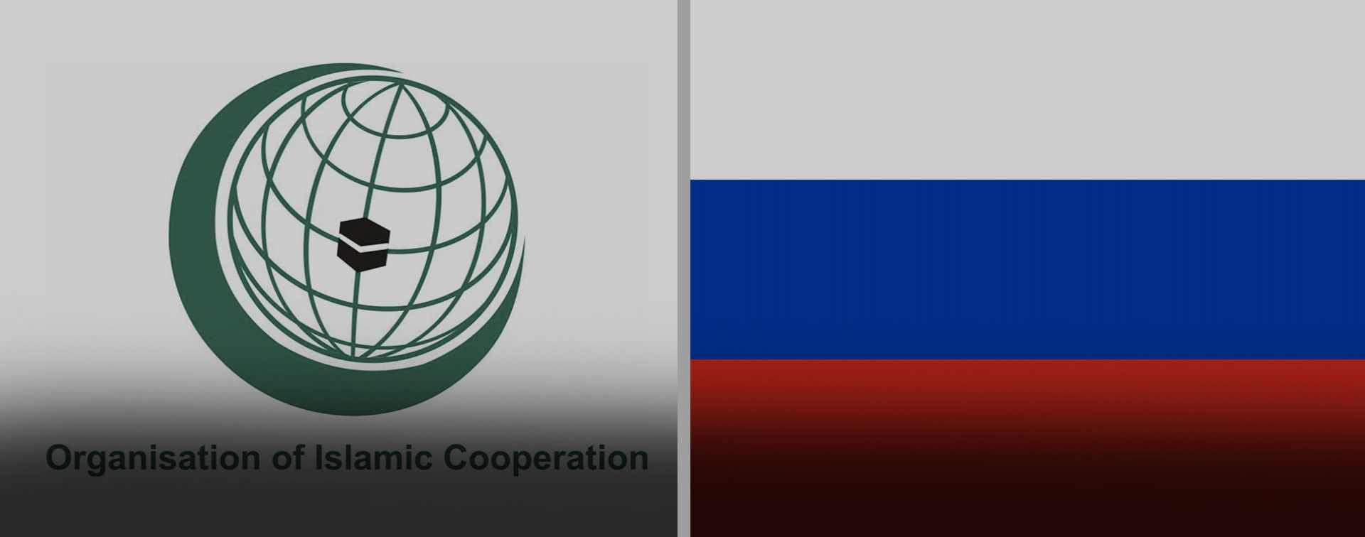 Russia and the OIC: 15 years together (video conference) — Группа ...