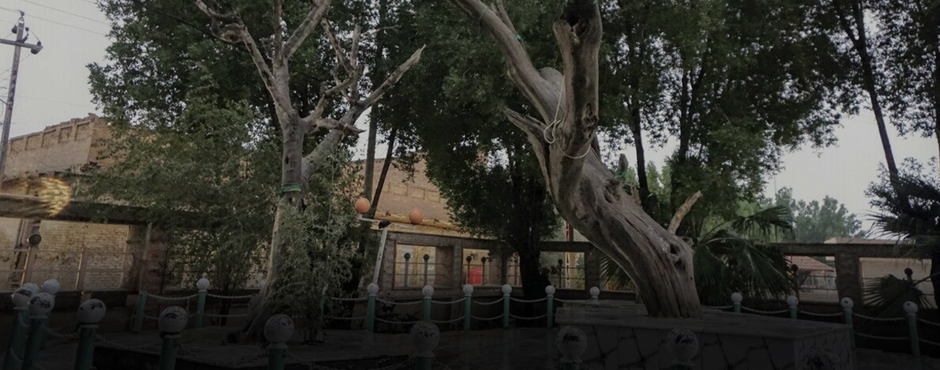 The tree of Eden in Iraq — Группа стратегического видения "Россия ...